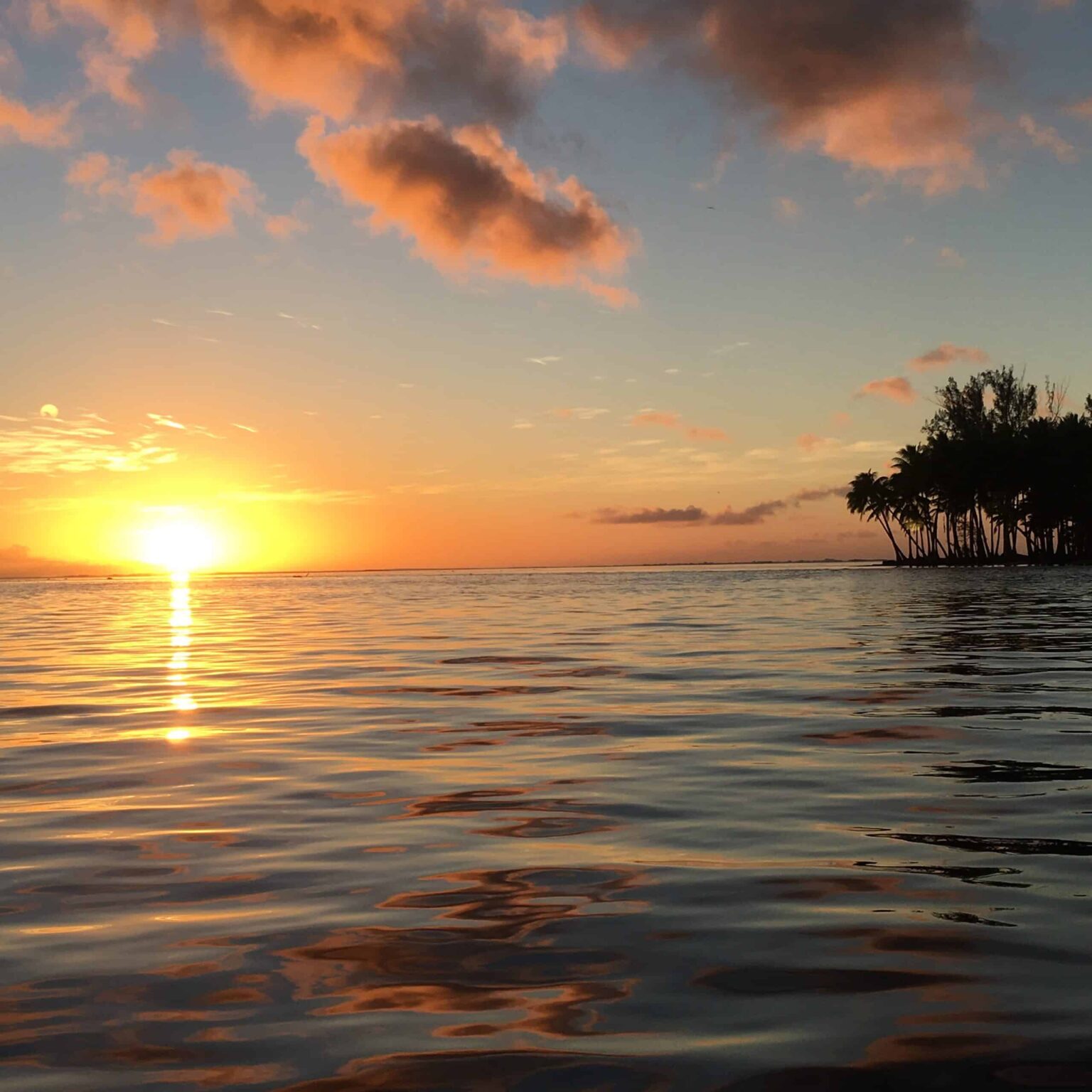 Raiatea Blue Lagoon - Outrigger canoe excursions in Raiatea and Tahaa